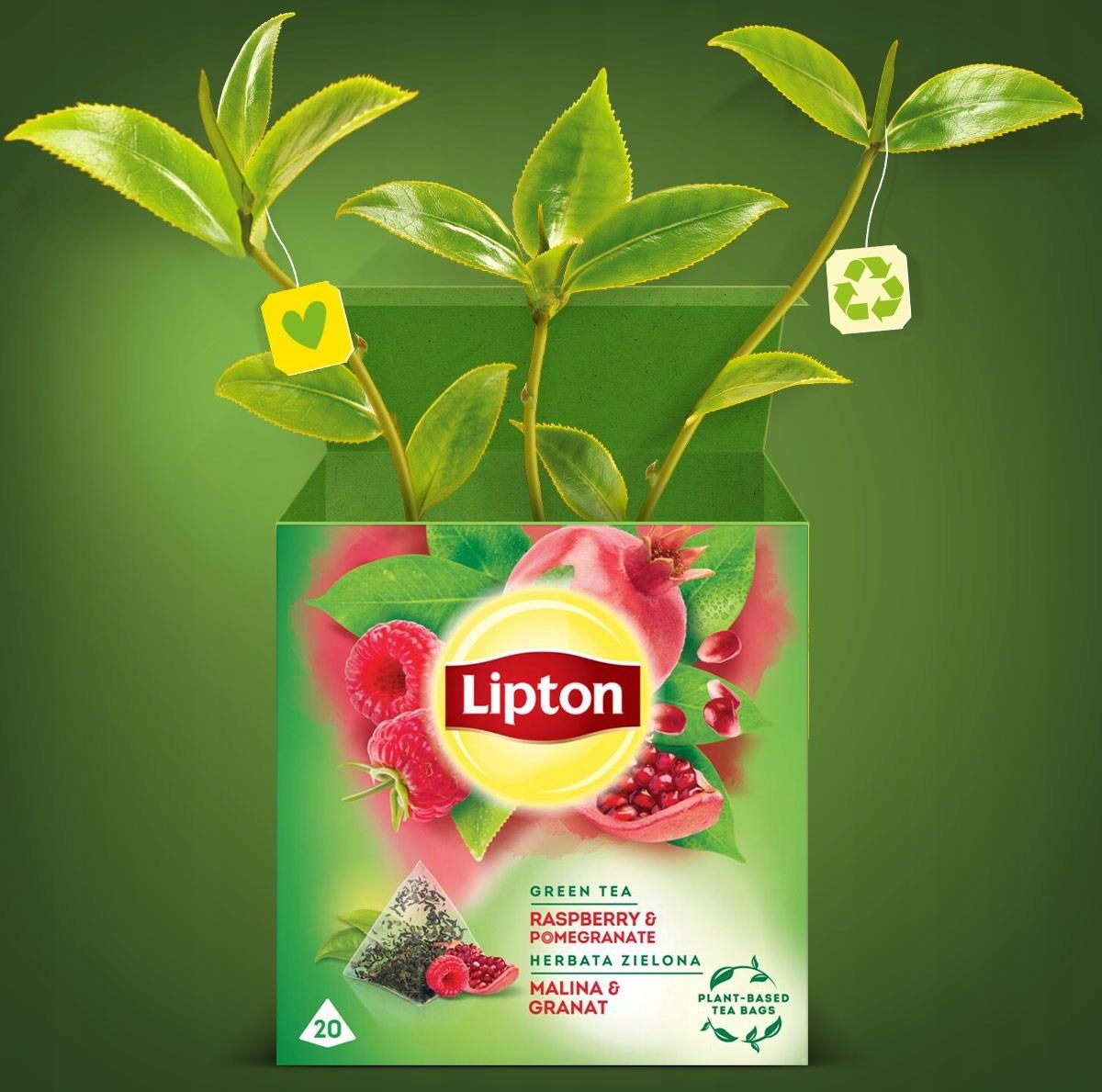 Herbata Lipton Zestaw Herbata Zielona Malina I Granat Piramidki 3X20 ...