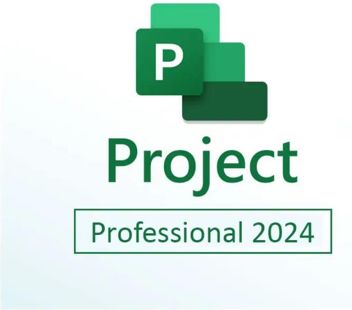 Program narzędziowy Microsoft Project Professional 2024 PL - Nowa ...
