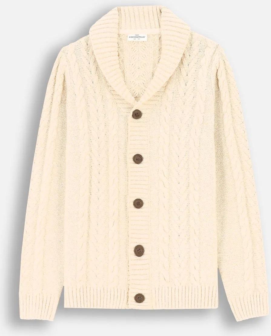 Chłopięcy Sweter Rozpinany Beżowy Sweter z Splotem 152 Coccodrillo ZC4 ...