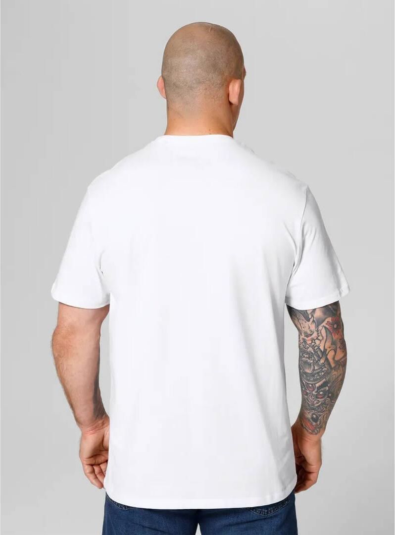 Koszulka męska Pit Bull Scratch - Ceny i opinie - Ceneo.pl