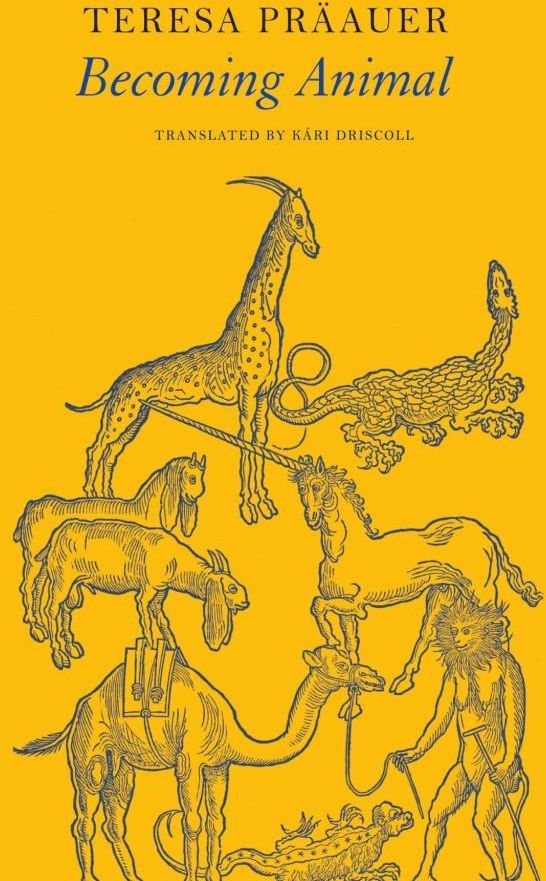 Becoming Animal - Literatura obcojęzyczna - Ceny i opinie - Ceneo.pl