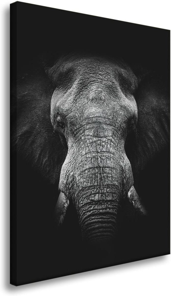 Mpink Obraz Na Płótnie Twarz Szarego Słonia Trąba Kły 30x40cm - Opinie ...