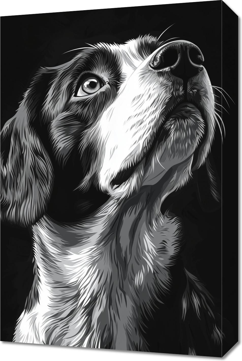 Obraz 40x60cm Portret Zwierząt do Salonu , Beagle 2 , Czarno Białe ...