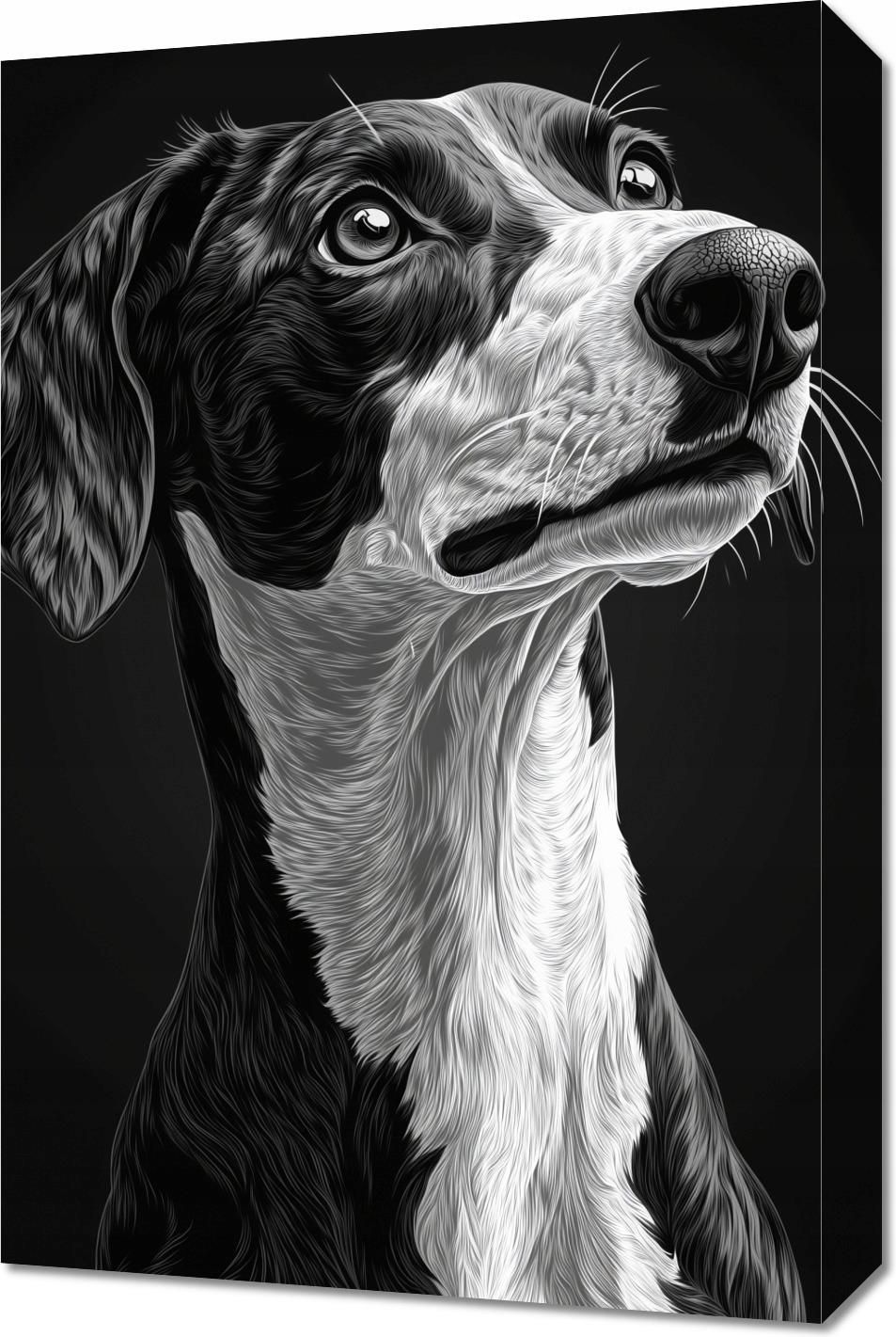 Obraz 40x60cm Portret Zwierząt do Salonu Pokoju , Greyhound , Czarno ...