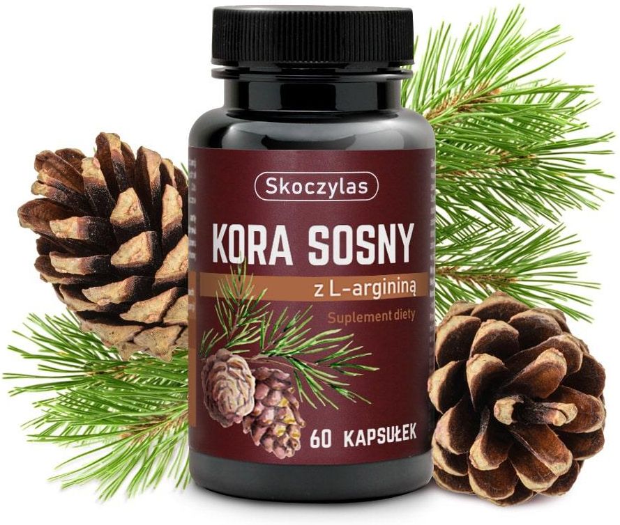 Skoczylas Kora Sosny L-Arginina 60 Kaps Krążenie - Opinie i ceny na ...