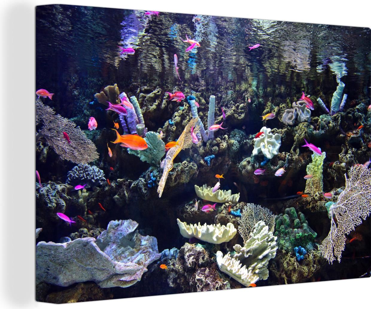 OneMillionCanvasses 140x90cm Kolorowe Akwarium Replika (47-1332000 ...