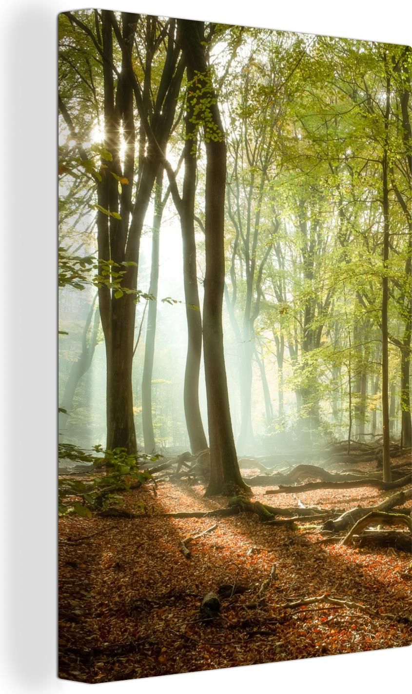 OneMillionCanvasses 90x140cm Las Słońce Pory Roku Krajobraz Replika (47 ...