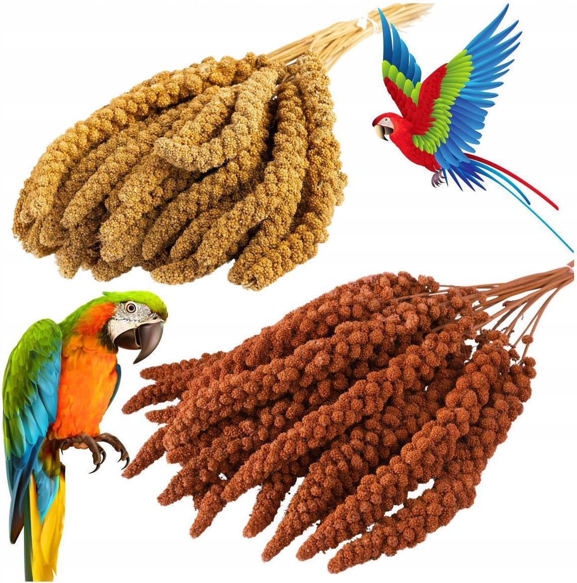 Proso Senegalskie Białe W Kłosach 5Kg Czerwone 5Kg - Ceny i opinie ...