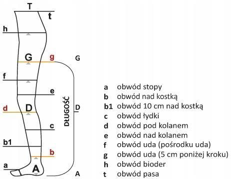 Bielizna lecznicza Aries Avicenum Phlebo 310 Profilaktyczne ...