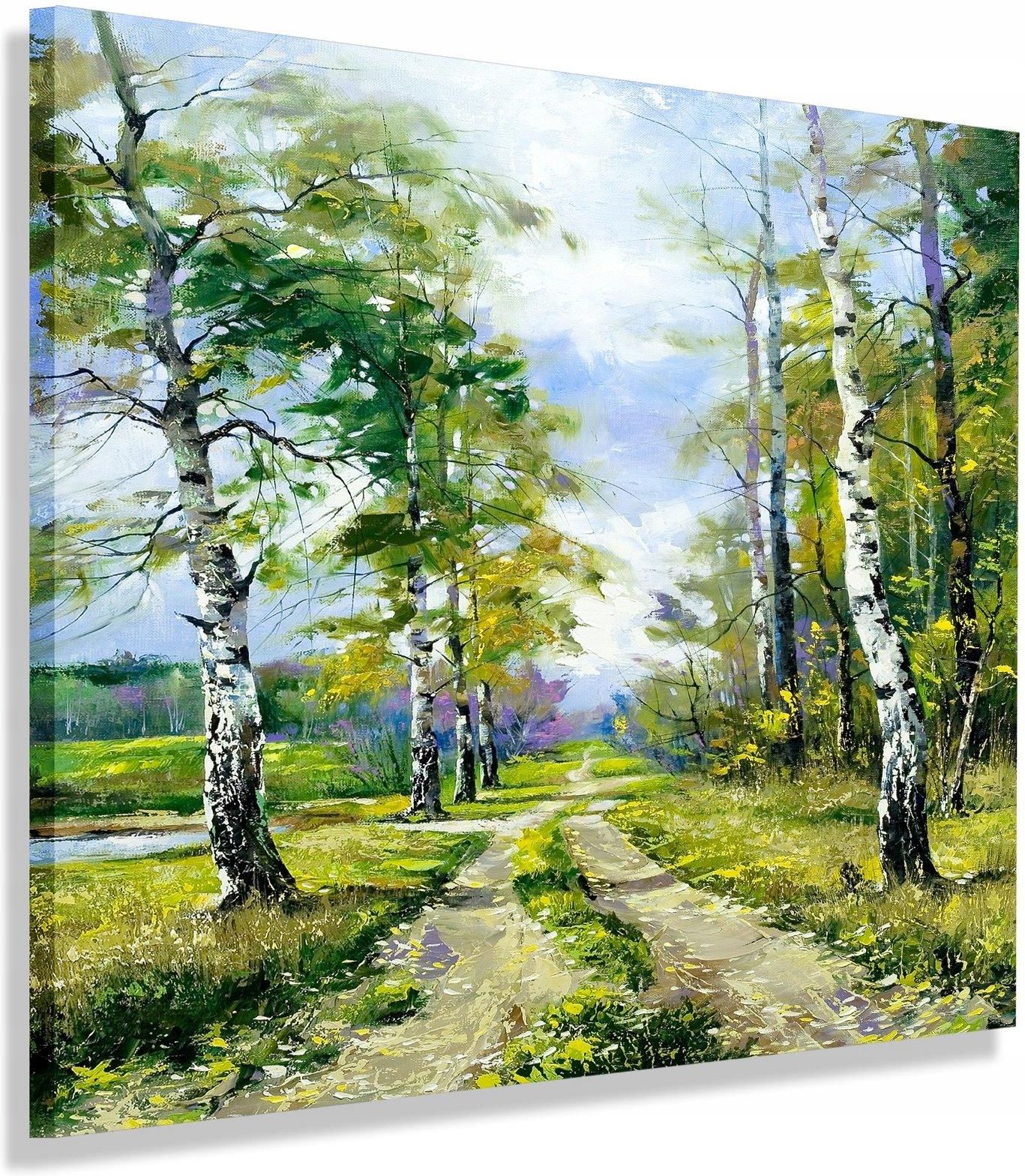 Decorator Obraz Las Droga Brzozy Obrazy Canvas 70x70 - Opinie i ...