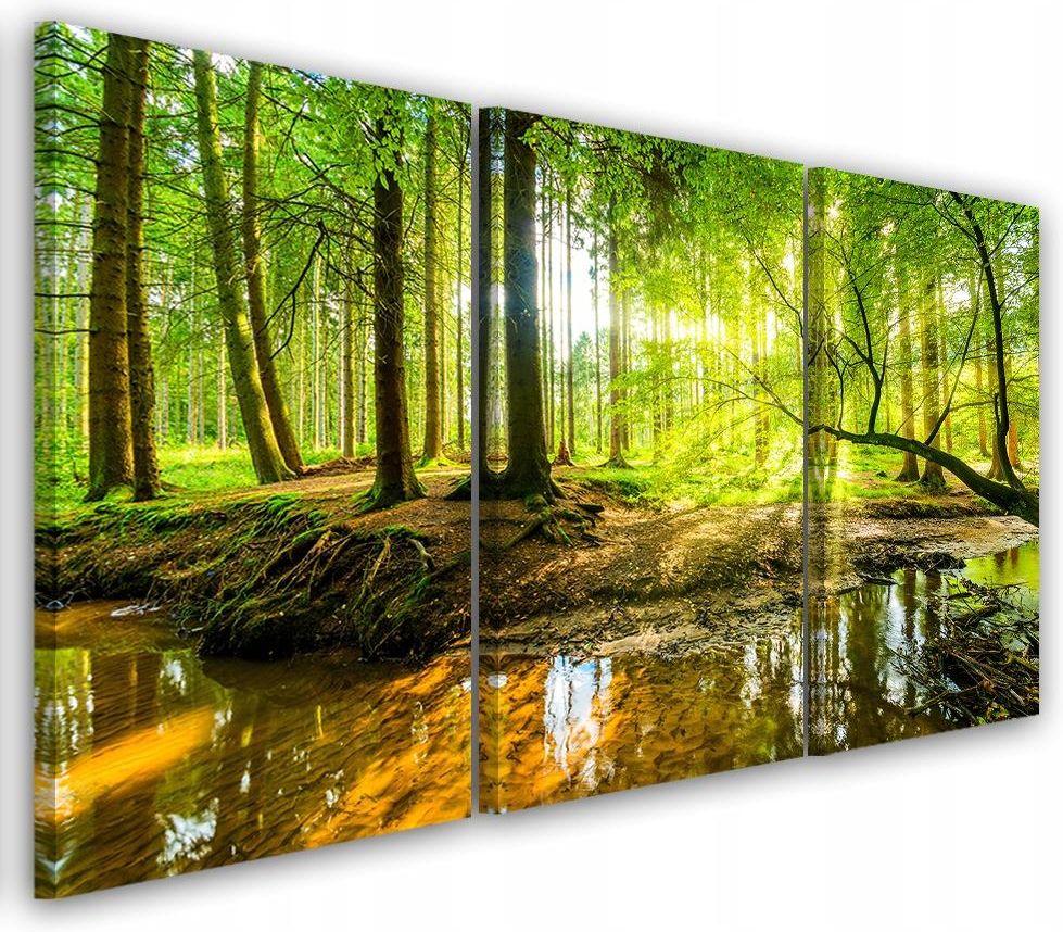 Feeby Obraz Tryptyk Do Salonu Las Jezioro Natura 120x80 - Opinie i atrakcyjne ceny na Ceneo.pl