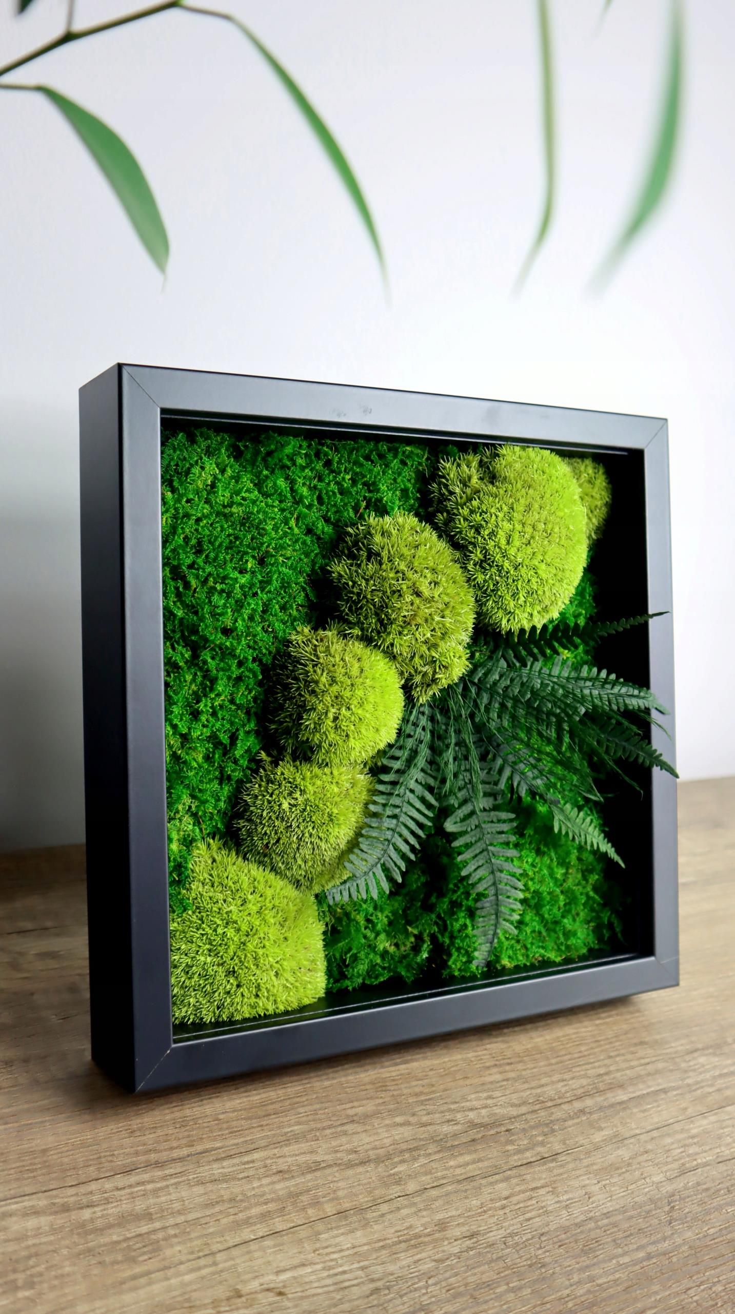 Rama obraz mech poduszkowy płaski paproć 25x25 cm - Opinie i atrakcyjne ...