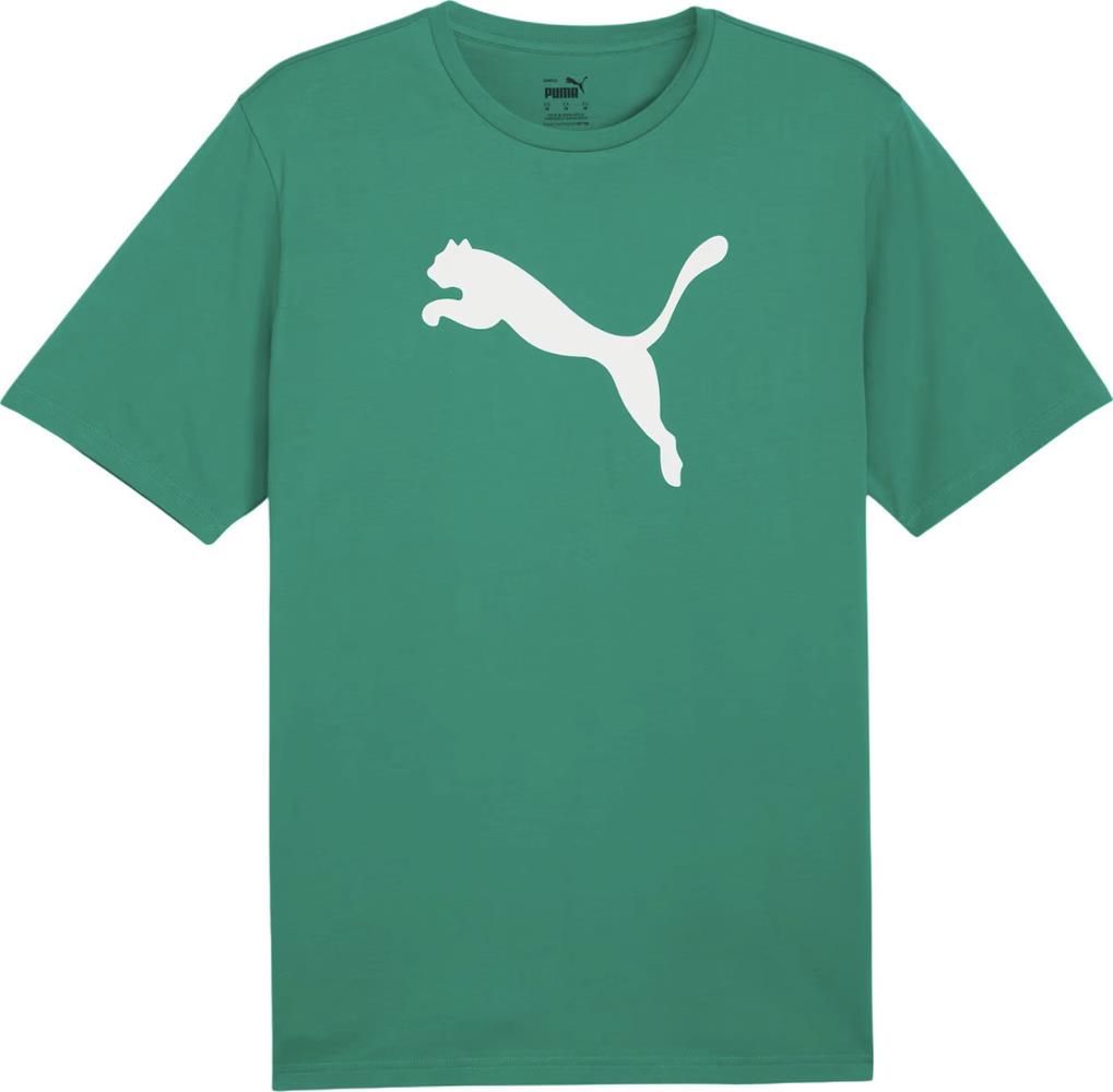 Puma Koszulka Męska Team Rise Logo Jersey Cotton Zielona 658705 05 ...