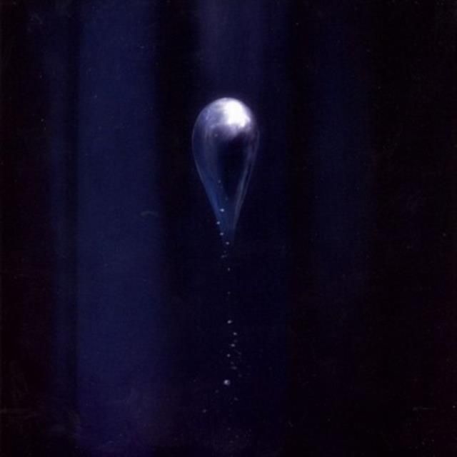 Płyta kompaktowa Foxhole - Push/Pull (CD) - Ceny i opinie - Ceneo.pl