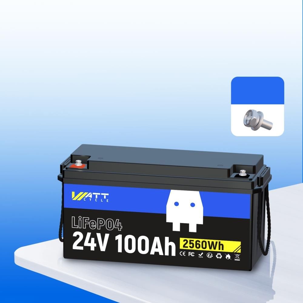 Bateria do zasilacza Wattcycle Akumulator 2*24V 100AH LiFePO4 Z Bms Do ...