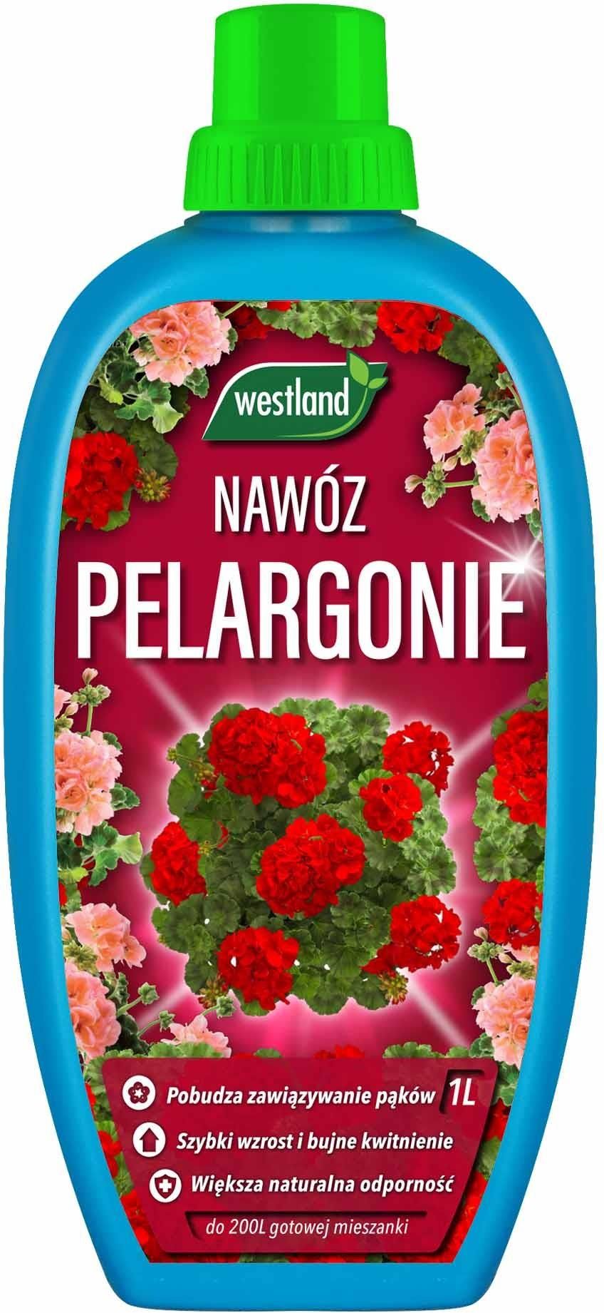 Nawóz Nawóz W Płynie Do Pelargonii Westland 1L - Ceny i opinie - Ceneo.pl