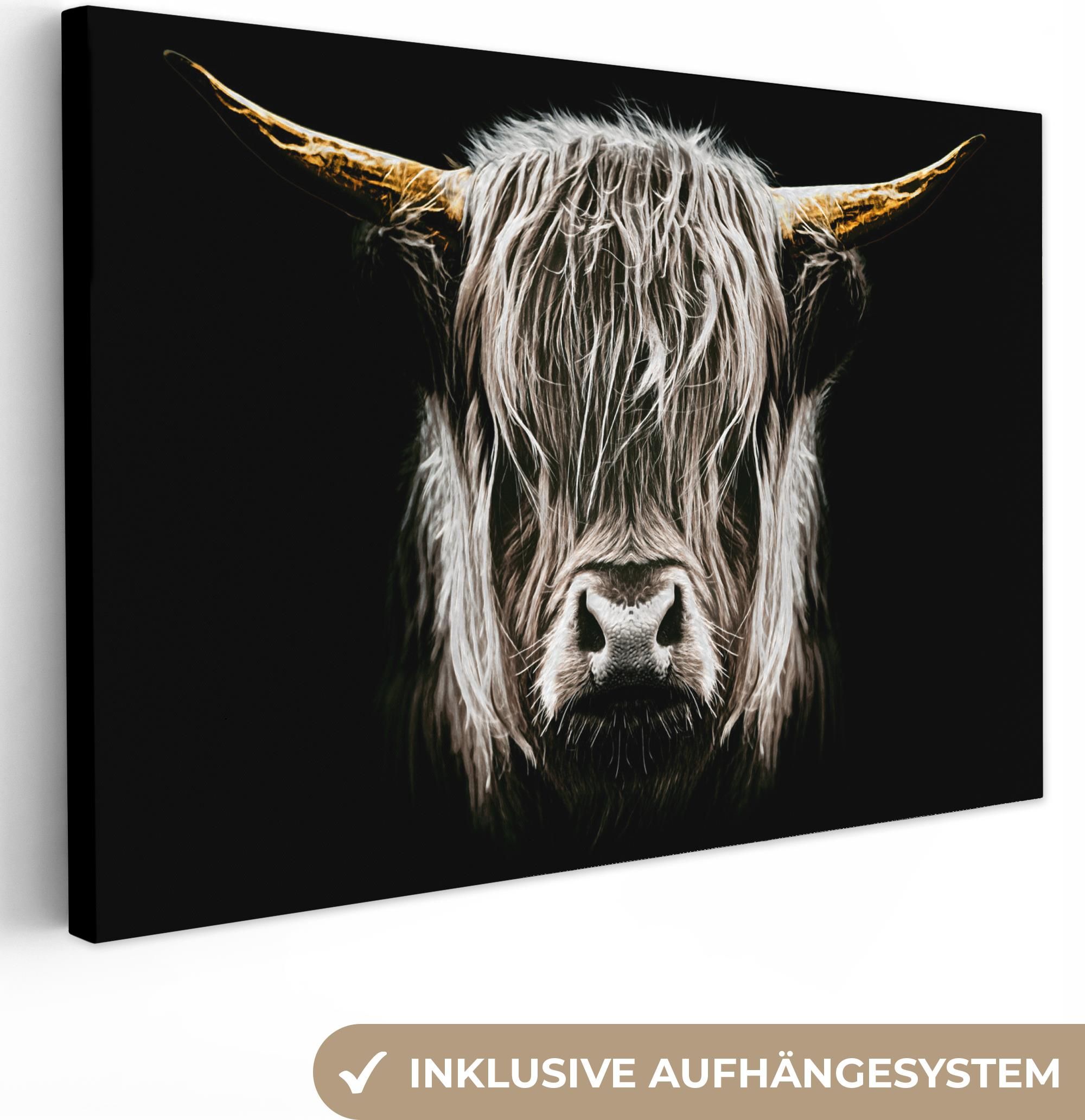 Muchowow Obraz Na Płótnie Góral Szkocki Złoty Rogi Czarno-Biały Krowa ...