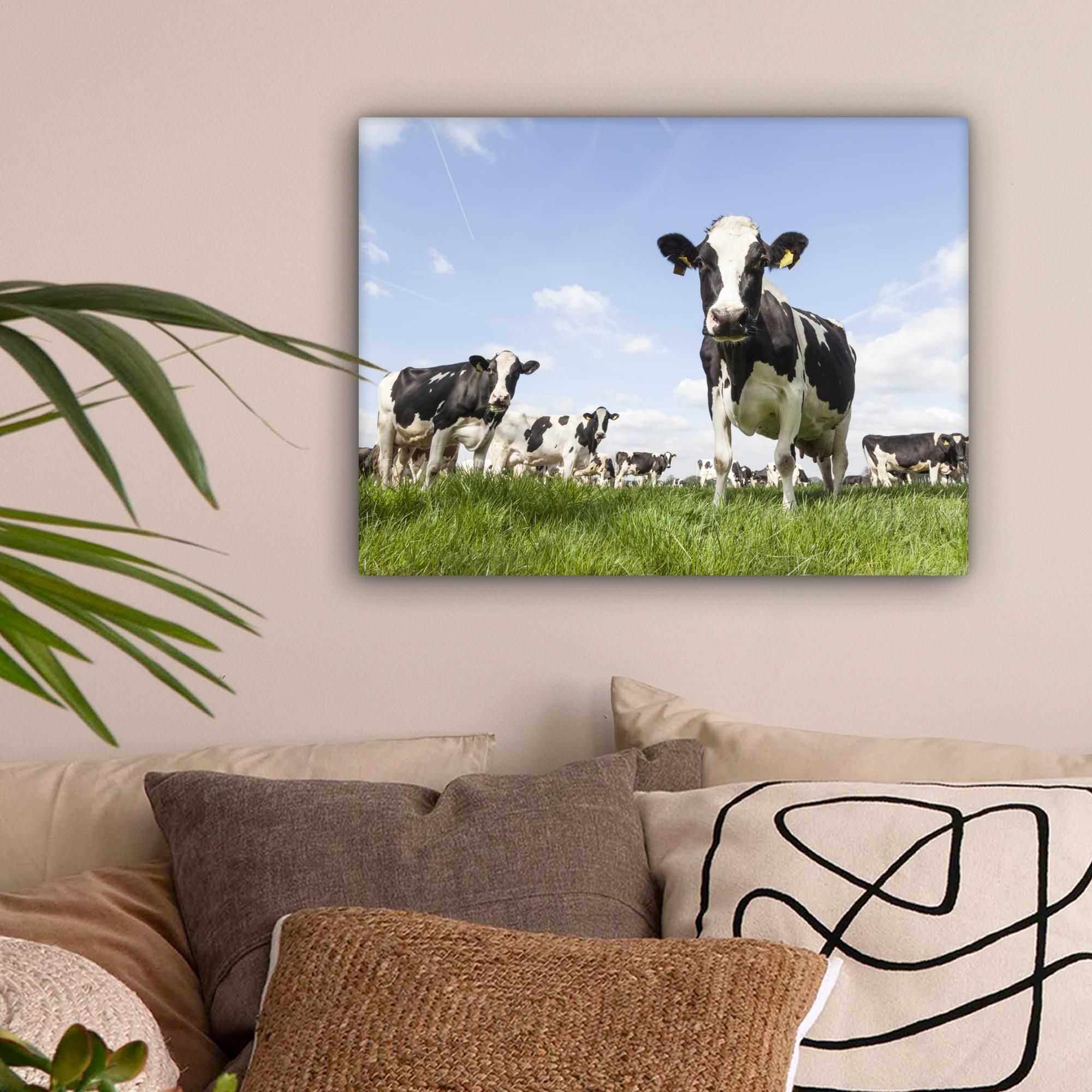 Muchowow Obraz Na Płótnie Krowy Trawa Zwierzęta Słońce Farma 40X30Cm ...