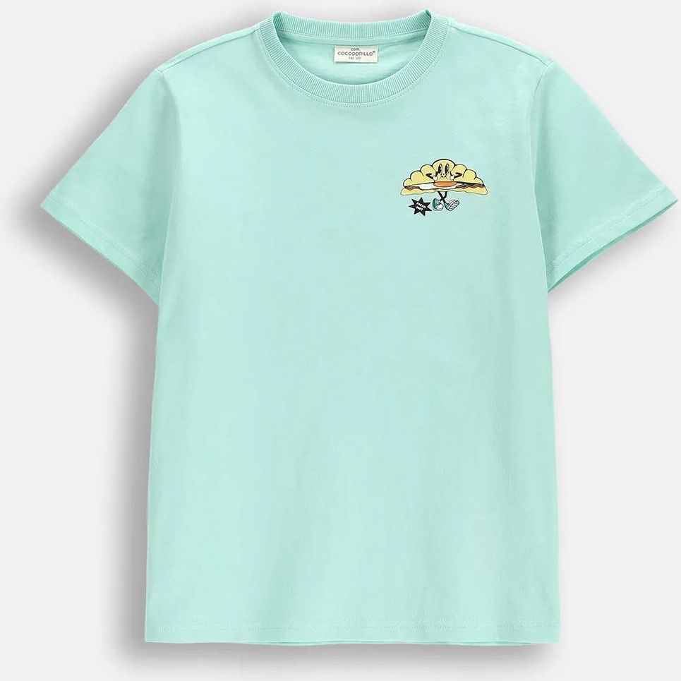 T-shirt z krótkim rękawem miętowy z nadrukiem na przodzie i z tyłu ...