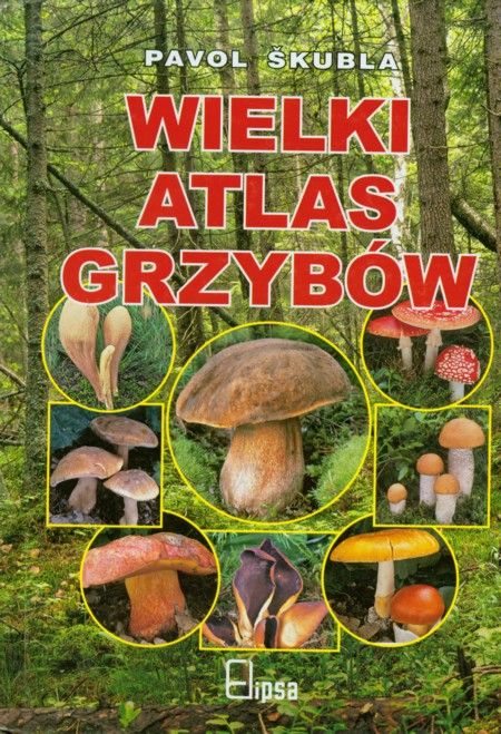 Wielki atlas grzybów - Ceny i opinie - Ceneo.pl