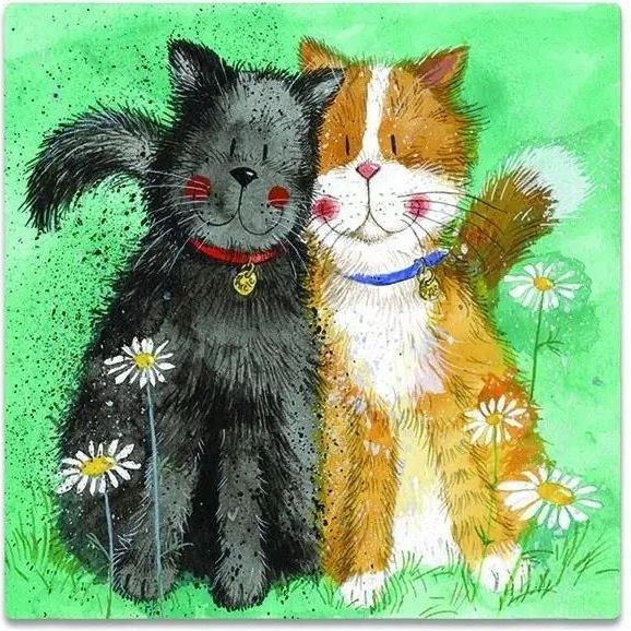 Alex Clark Magnes Fm190 Koty Toffee I Treacle - - Ceny i opinie - Ceneo.pl