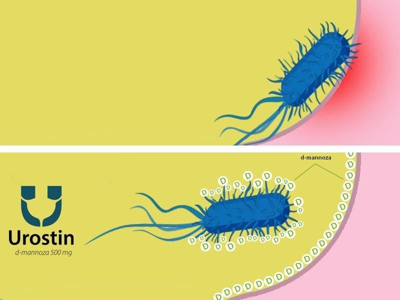 Medimes Urostin 500mg 60kaps. - Opinie i ceny na Ceneo.pl