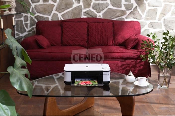 Urządzenie wielofunkcyjne Canon Pixma MP260 - Ceneo.pl