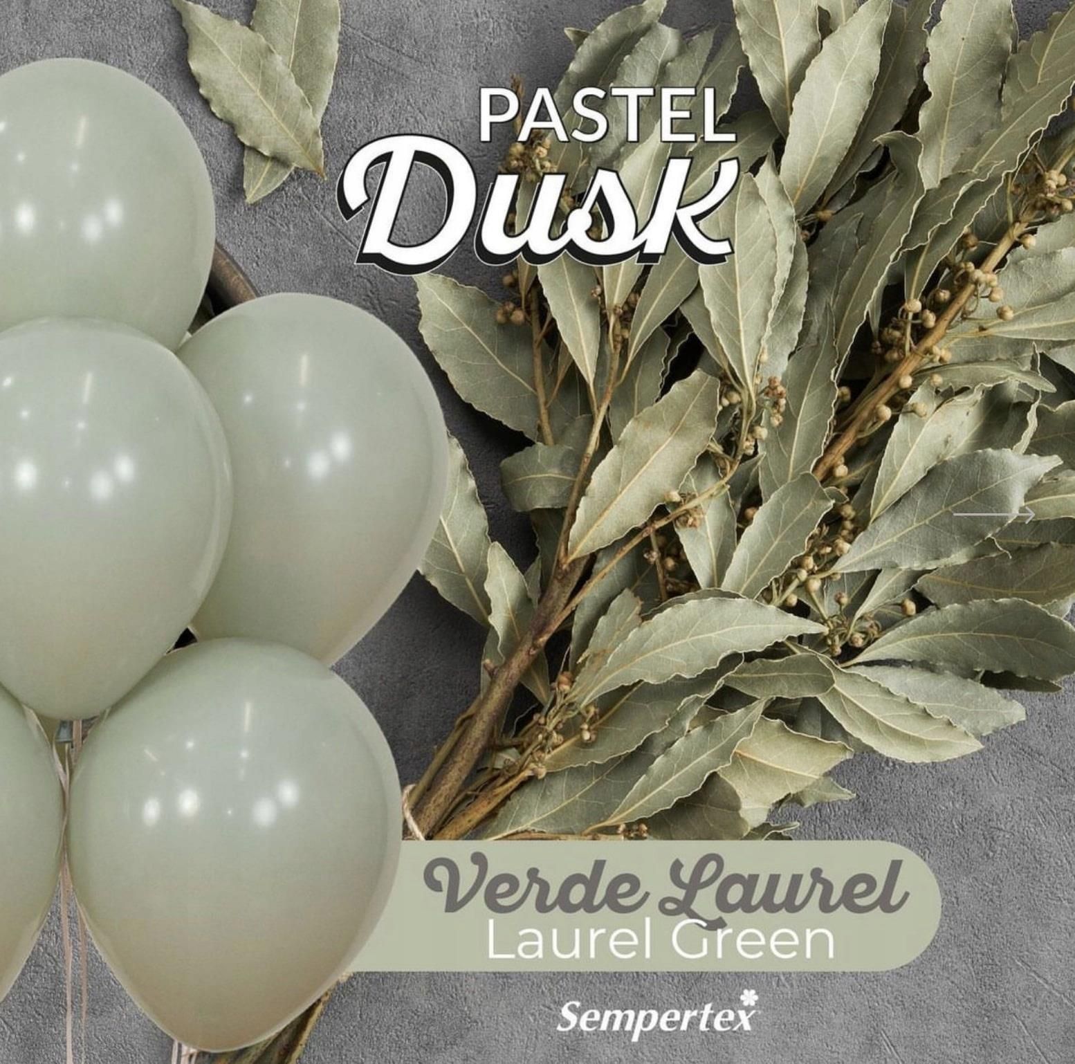 Sempertex Balony Lateksowe Pastel Dusk Laurel Green 45Cm 25Szt. - Ceny ...