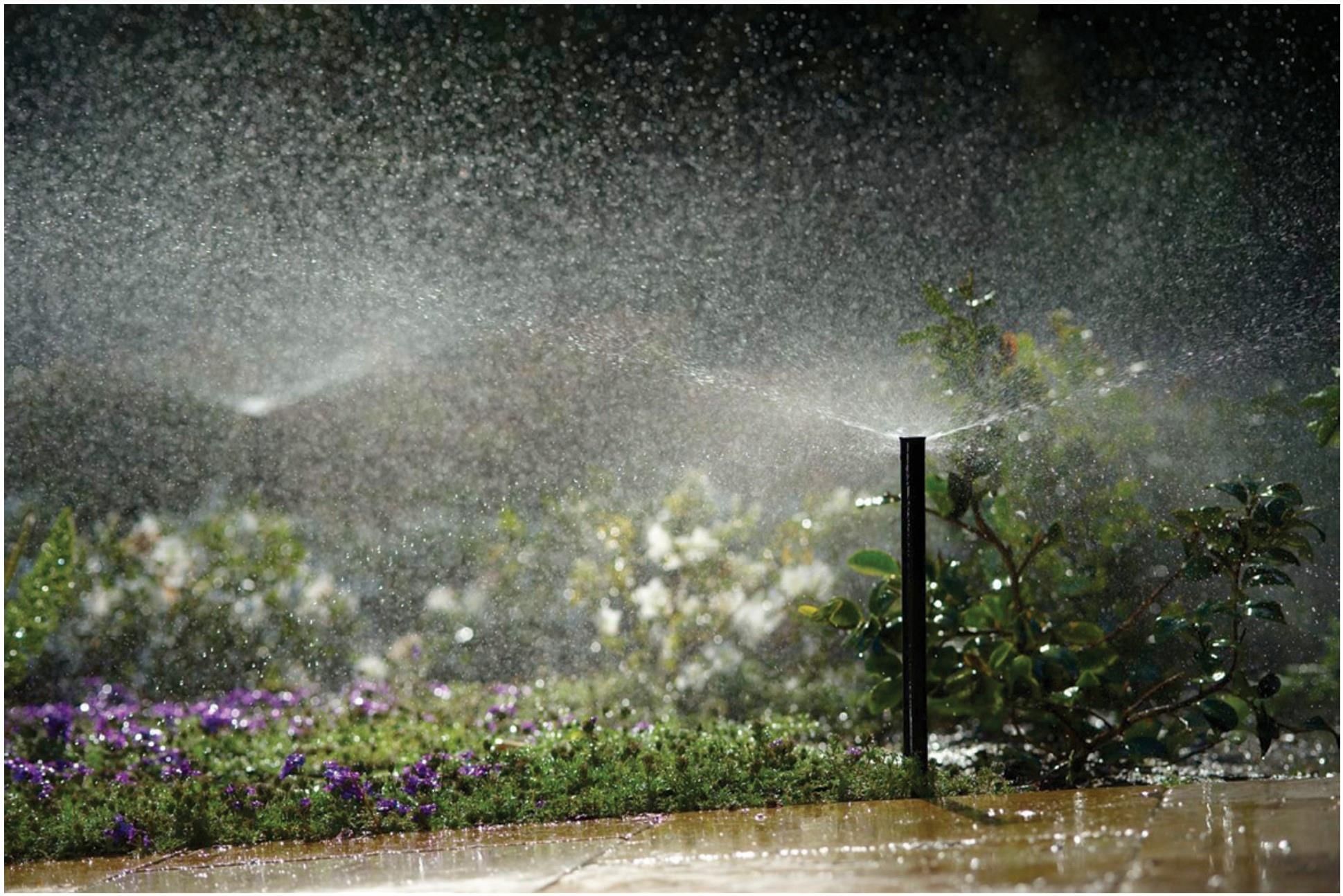 Rain-Bird Zraszacz Wynurzalny Typ 1804 15Cm Rain Bird - Ceny i opinie ...
