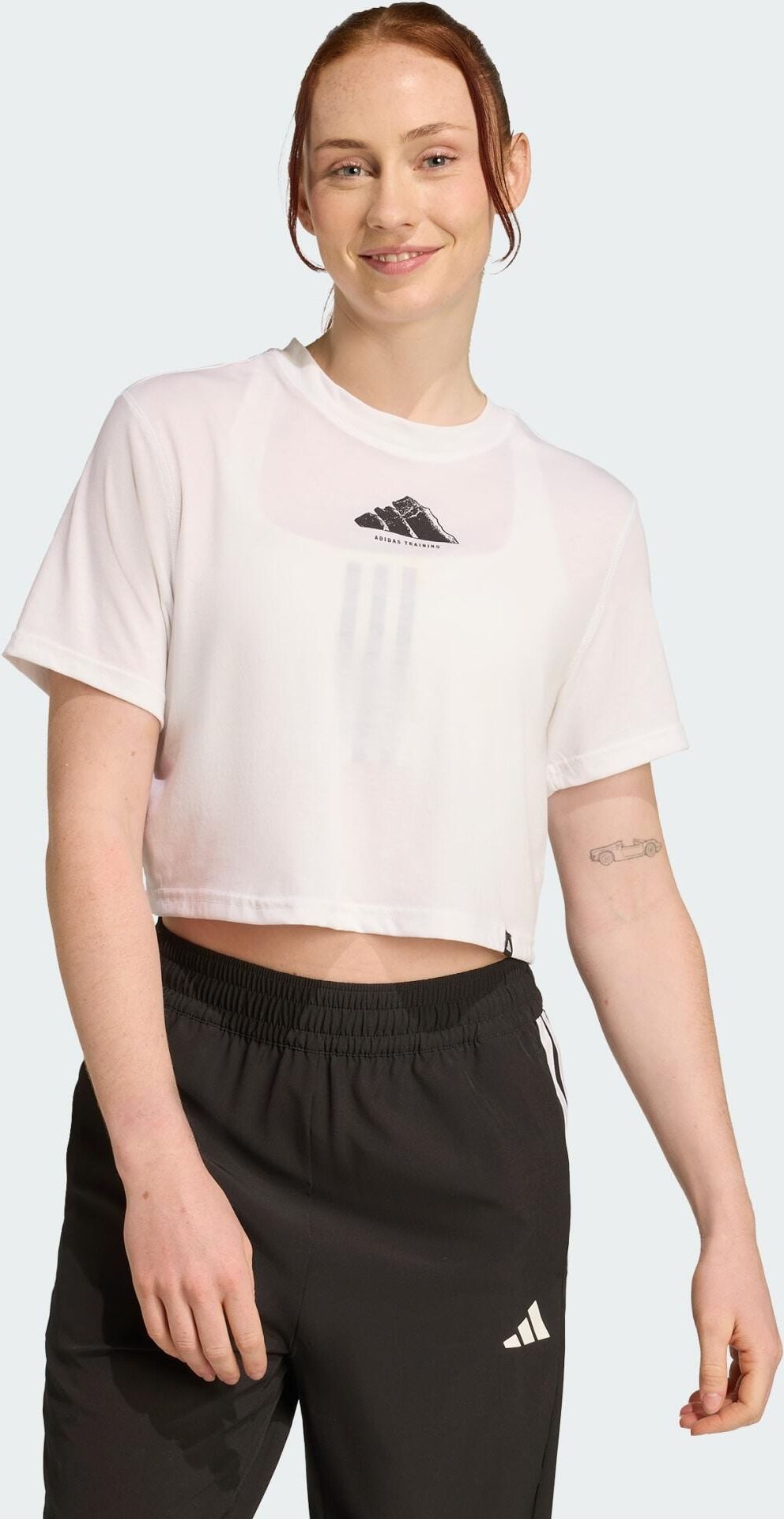 Adidas Koszulka Climacool Vintage Training Graphic - Ceny i opinie ...