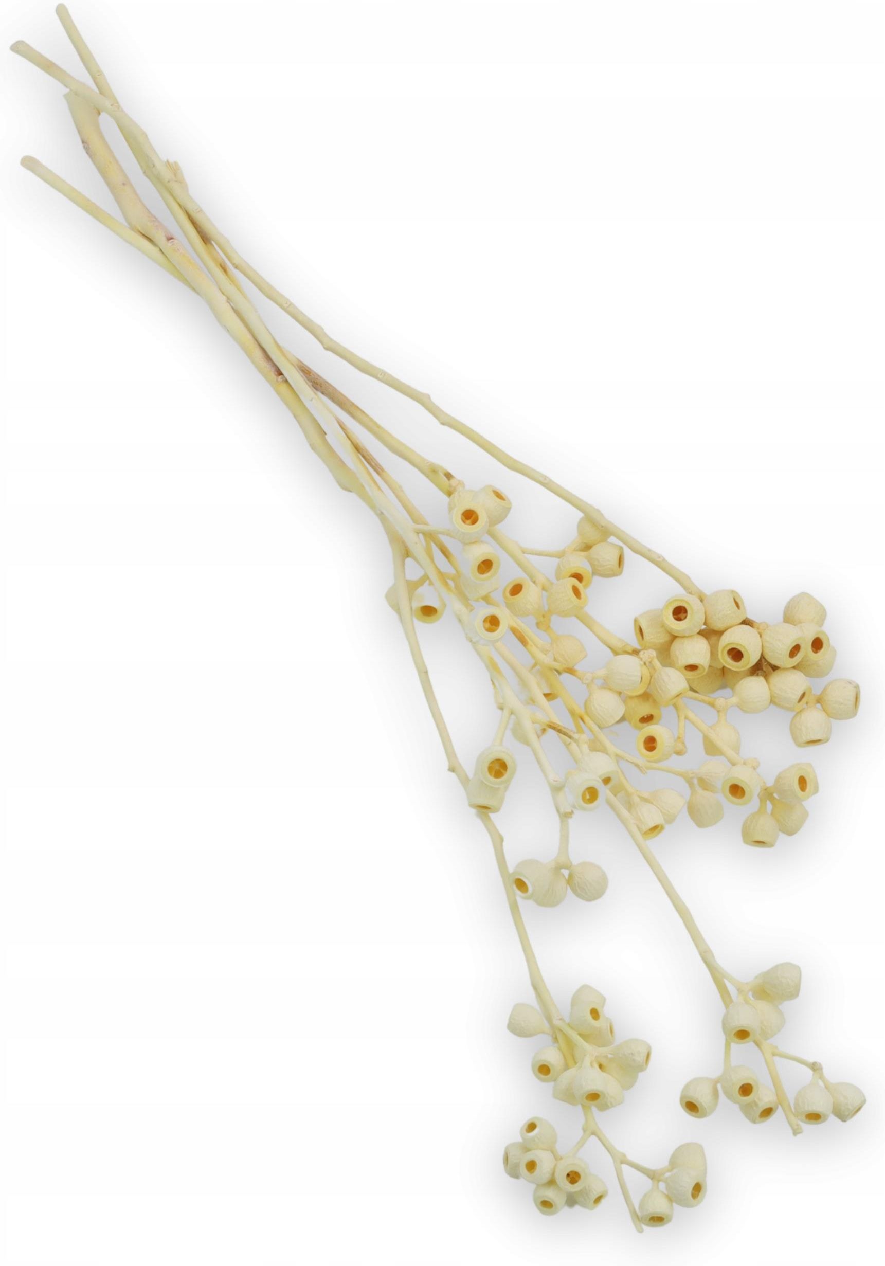 Ambernuts Wybielany 5 szt. (AMBERNUTSWYBIELANY5SZT) - Opinie i ...