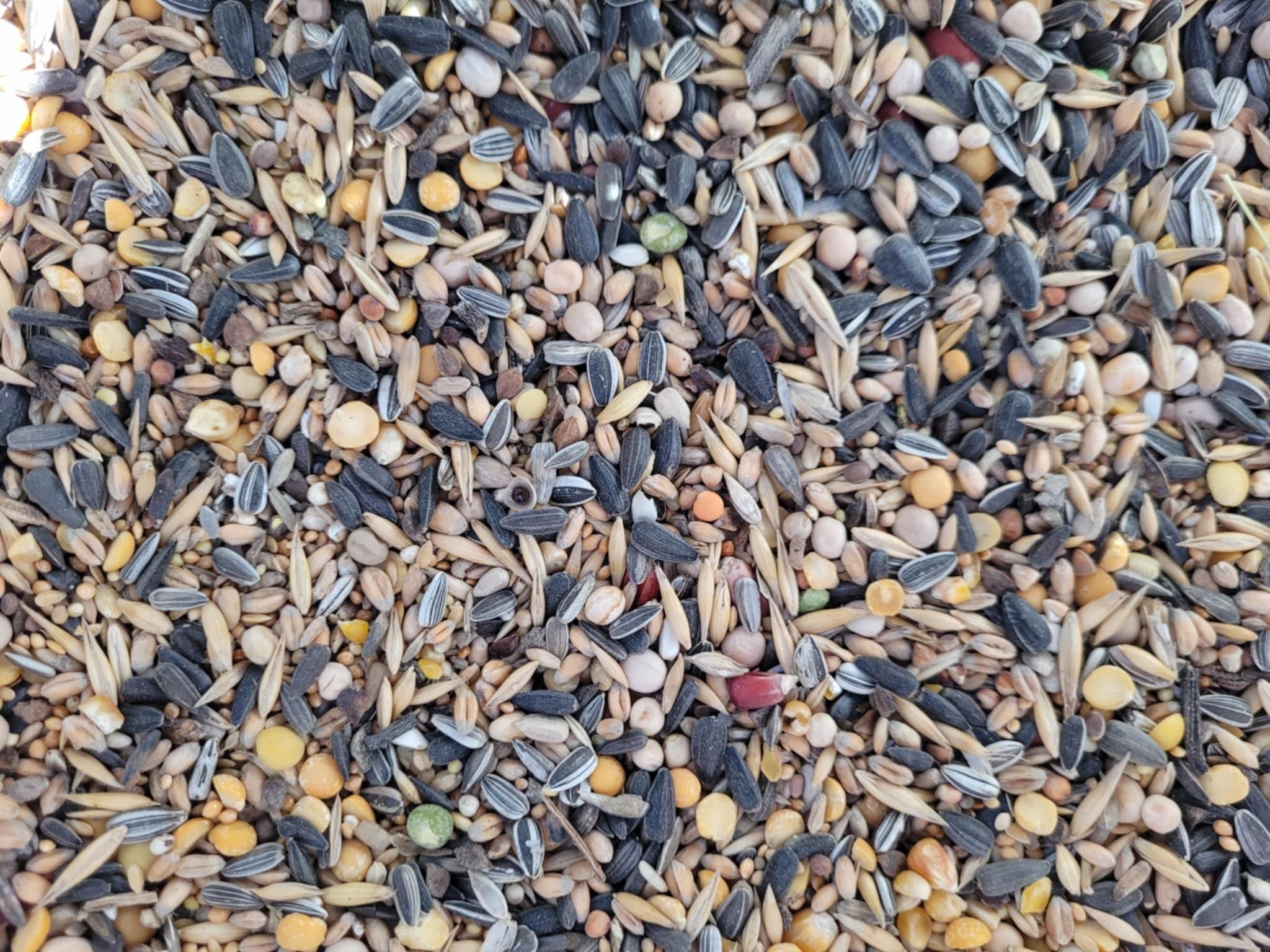 Karma Pasza Dla Drobiu Kur Niosek Naturalna Bez Gmo Bez Glifosatu 20Kg ...