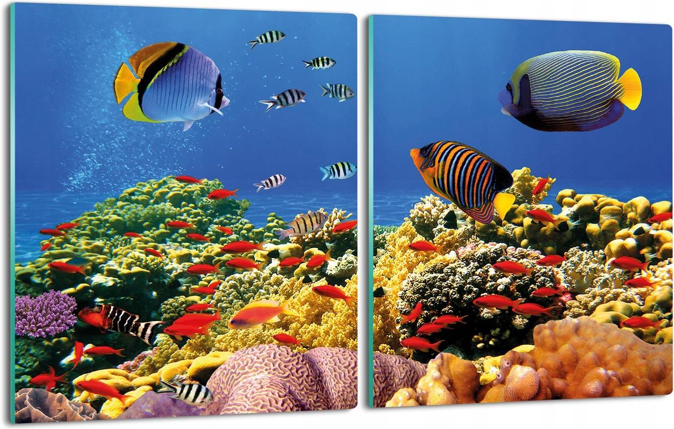 Artprintcave Splashback 2x 40x52 Ze Szkła Ryby Rafa Koralowa - Opinie i ...