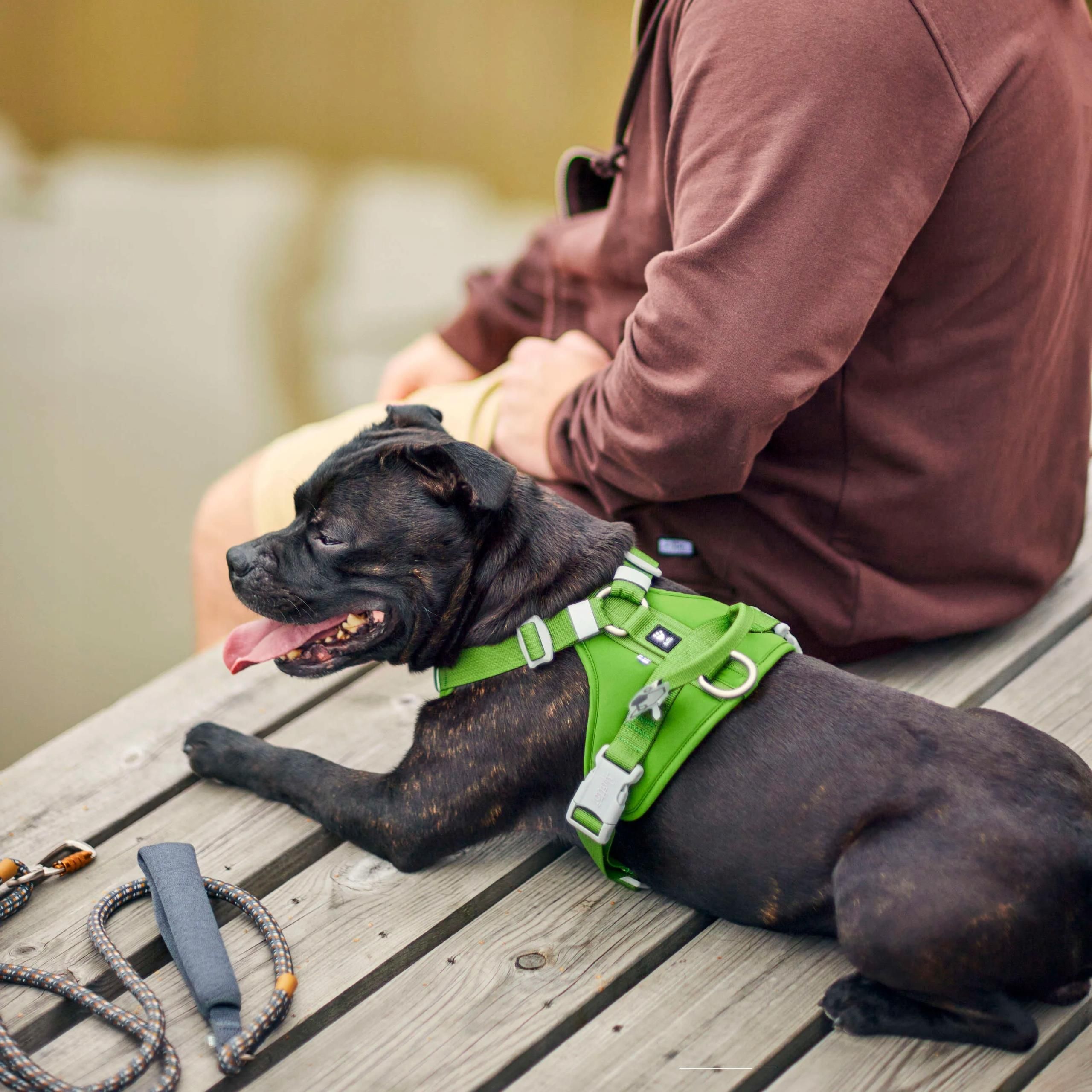 Hurtta Weekend Warrior Harness Ii Eco Szelki Dla Aktywnych Psów 65-80 ...