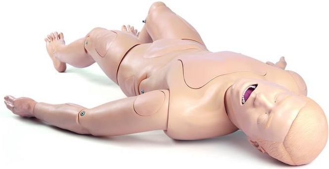 Crash Kelly - Ceny i opinie - Ceneo.pl