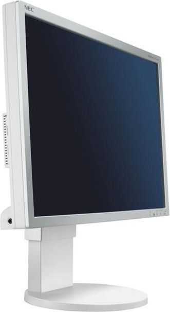 Monitor NEC MultiSync EA221WM - Opinie i ceny na Ceneo.pl