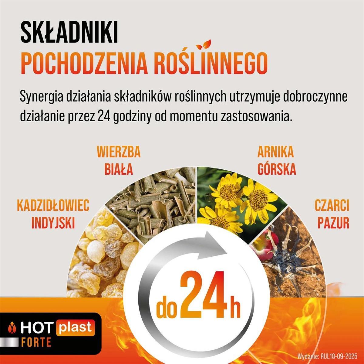 Hot Plast Forte Plaster Rozgrzewający 12x18cm 1szt. - Opinie i ceny na ...