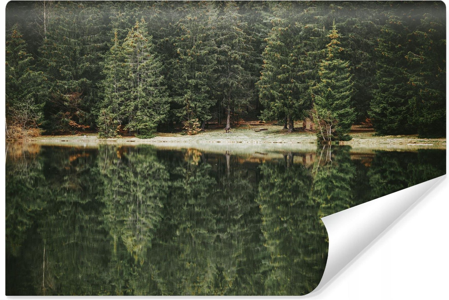 Fototapeta Las Jezioro Krajobraz Natura 3D 180x120 - Opinie i ceny na ...