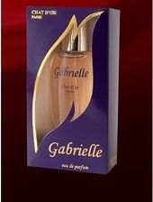 CHAT DOR GABRIELLE woda perfumowana 30ml - Ceneo.pl