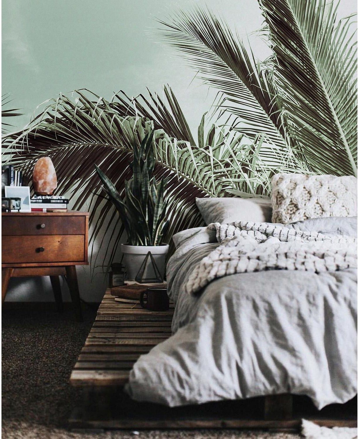 Lateksowa tapeta Monstera palmy 312x219 cm klej - Opinie i ceny na Ceneo.pl