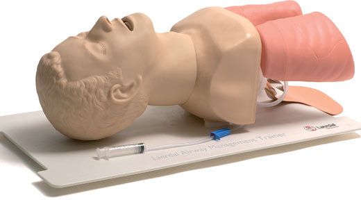 Laerdal Airway Management Trainer - Ceny i opinie - Ceneo.pl