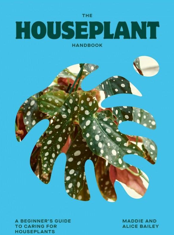 The Houseplant Handbook: A Beginner's Guide to Caring for Houseplants ...