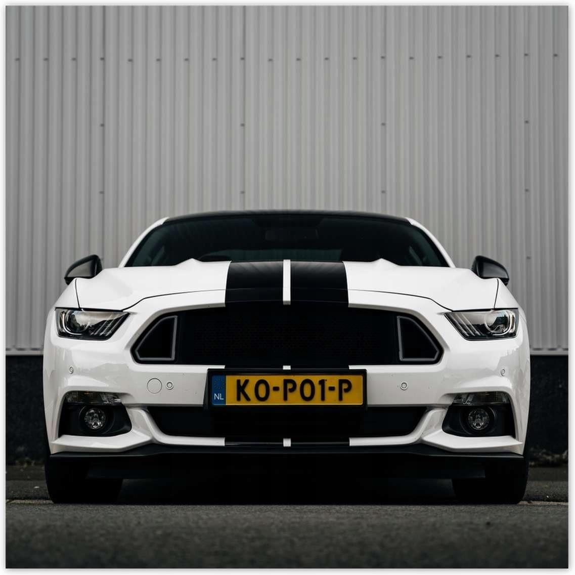 Zesmakiem Fototapety 208x208 Ford Mustang Z Paskami - Opinie i ceny na ...