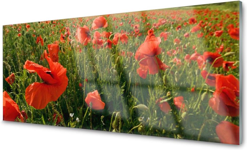 Coloray Panel Szklany Dekoracyjny Foto Maki Roślina 120x60 - opinie i ...