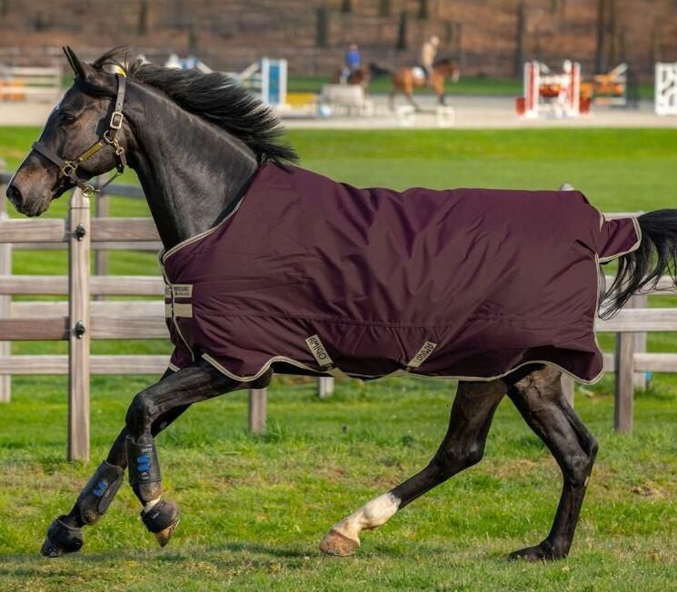Konie Koc Do Biegania Horseware Amigo Hero Lite Bez Ocieplenia Rozmiar ...