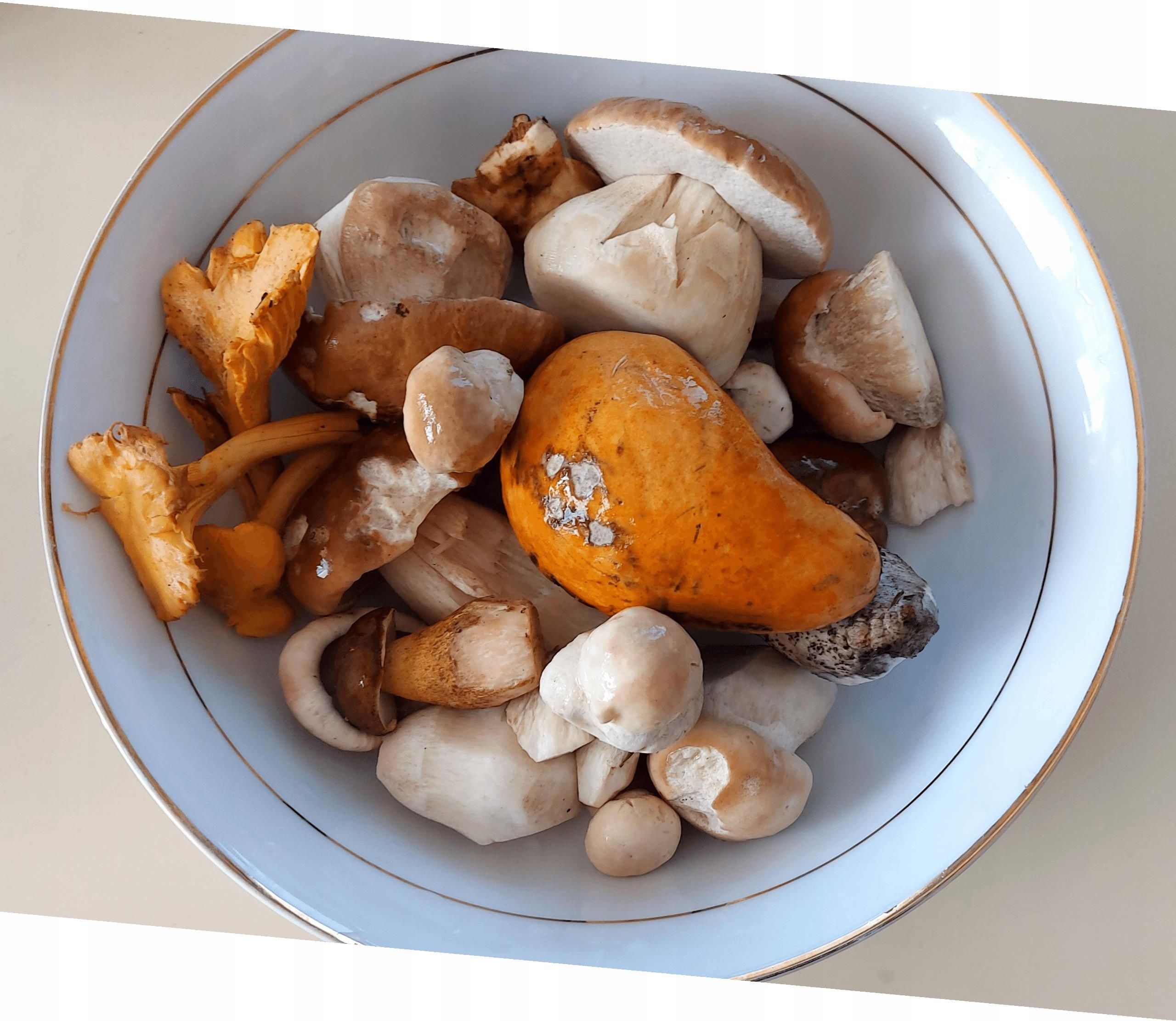 Astia Grzyby Suszone Leśne Mix Krojone Polska Atest 2024 250g - Ceny i ...