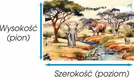 Deco Wall Tapeta Dla Dzieci Las Morze Statek Zwierzęta Miś Wydra Sowa ...