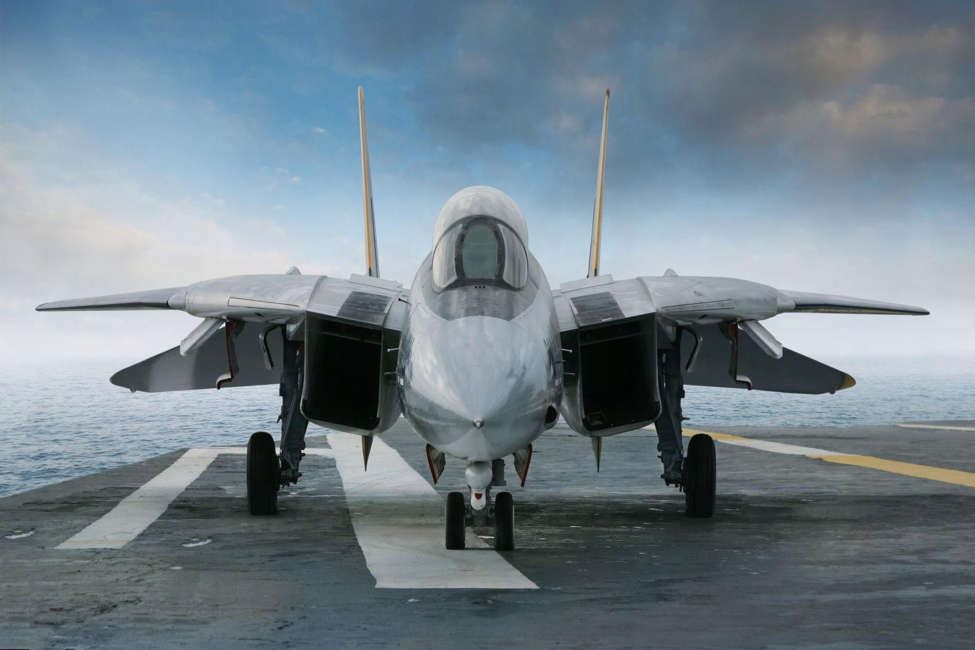 Deco-Wall Tapeta Samolot F-14 Tomcat Wojskowy Myśliwiec 290G Nr 231 ...