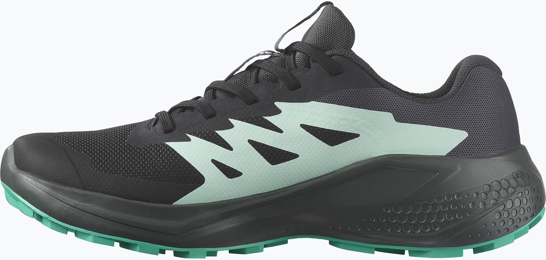 Buty do biegania damskie Salomon Alphaglide GTX hantom/urban chic ...