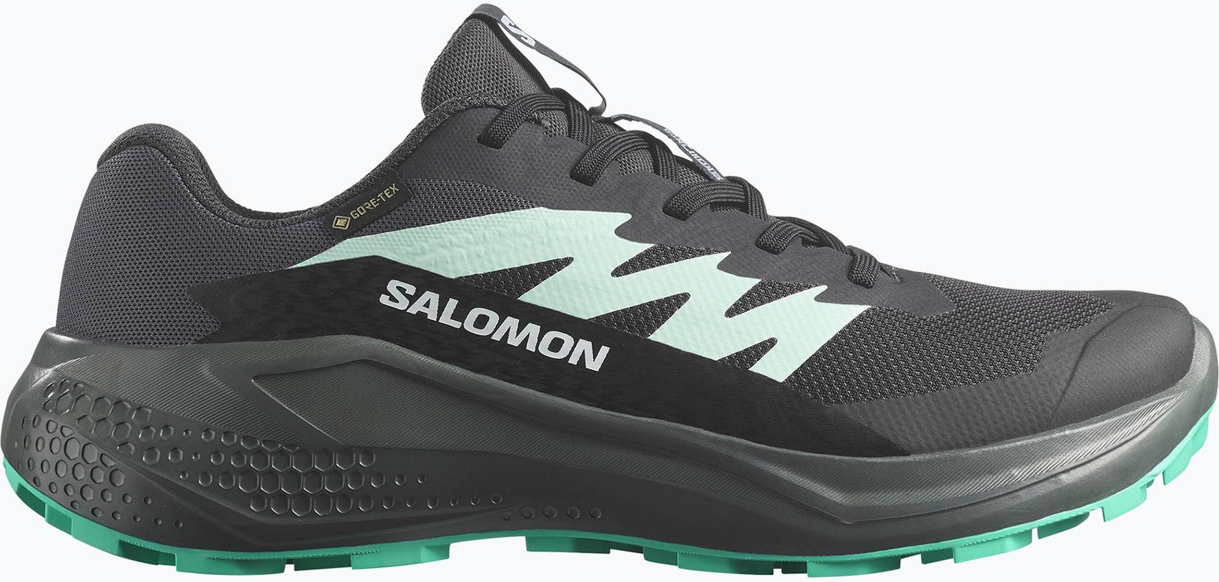 Buty do biegania damskie Salomon Alphaglide GTX hantom/urban chic ...
